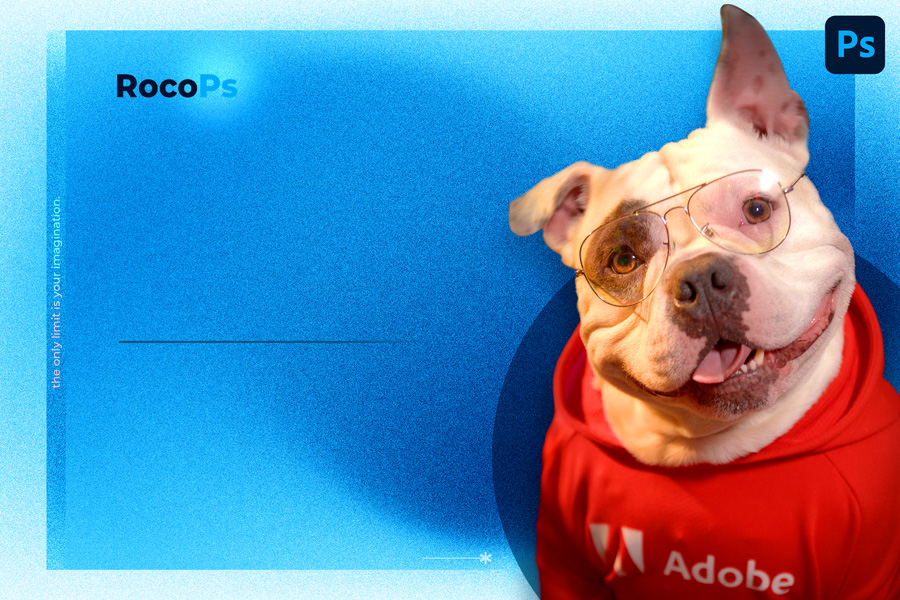 New template - Roco Ps